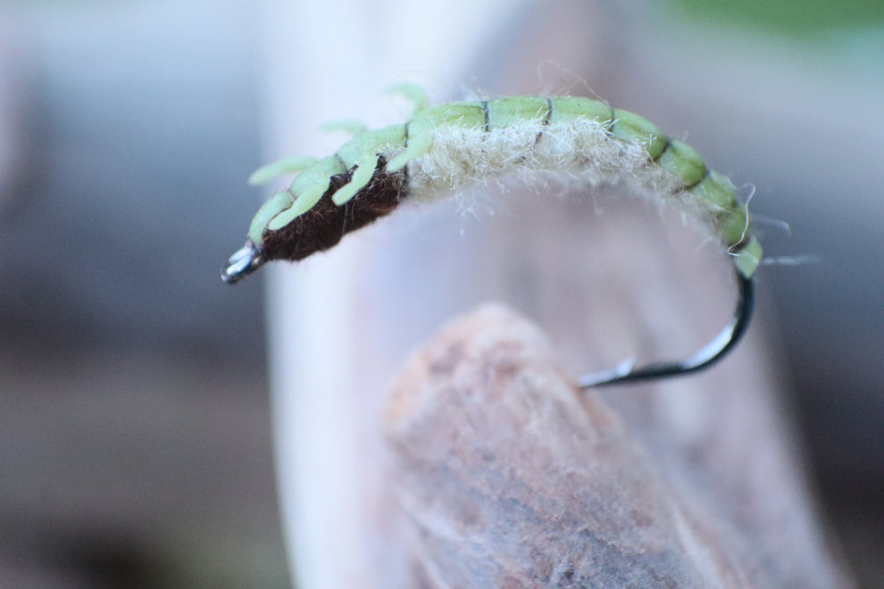 Realistic Caddis Larva Fly - Year-Round Trout Nymph Pattern