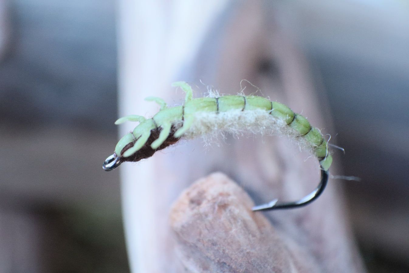 Realistic Caddis Larva Fly - Year-Round Trout Nymph Pattern