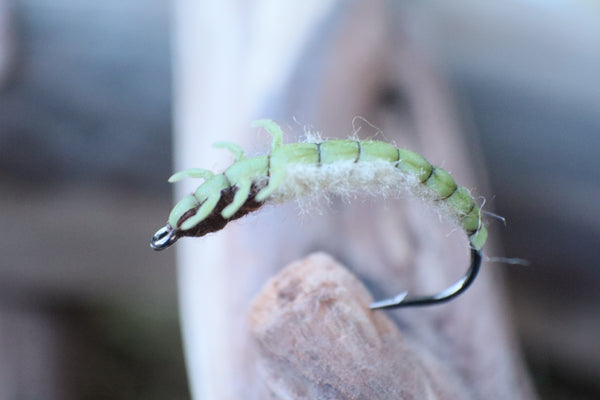 Realistic Caddis Larva Fly - Year-Round Trout Nymph Pattern