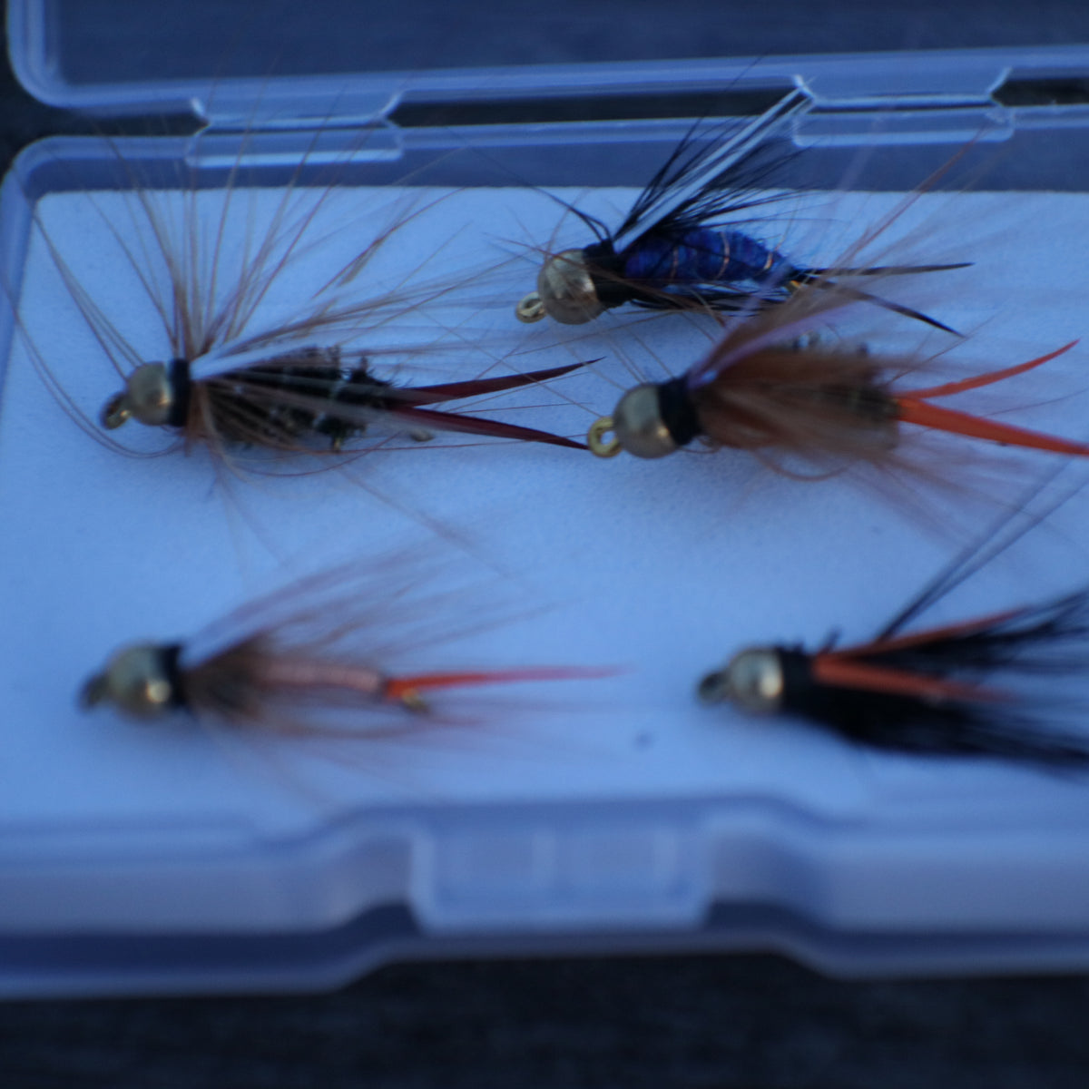 Prince Nymph Assortment for Every Angler works year round – Fly Fishing ...