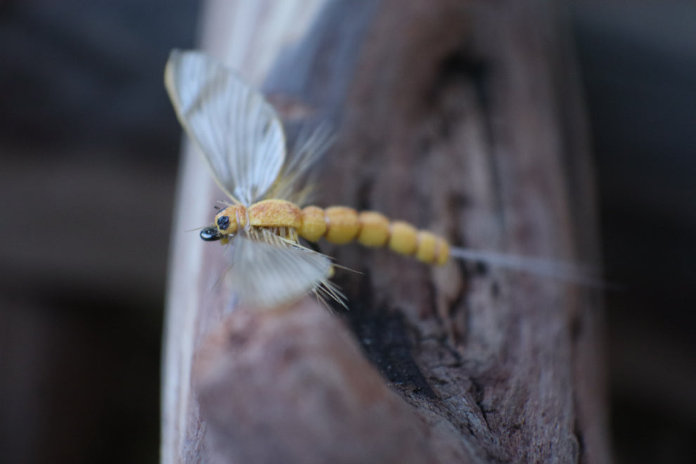 Mayfly Spent Yellow - Realistic Spinner Fall Dry Fly for Trout