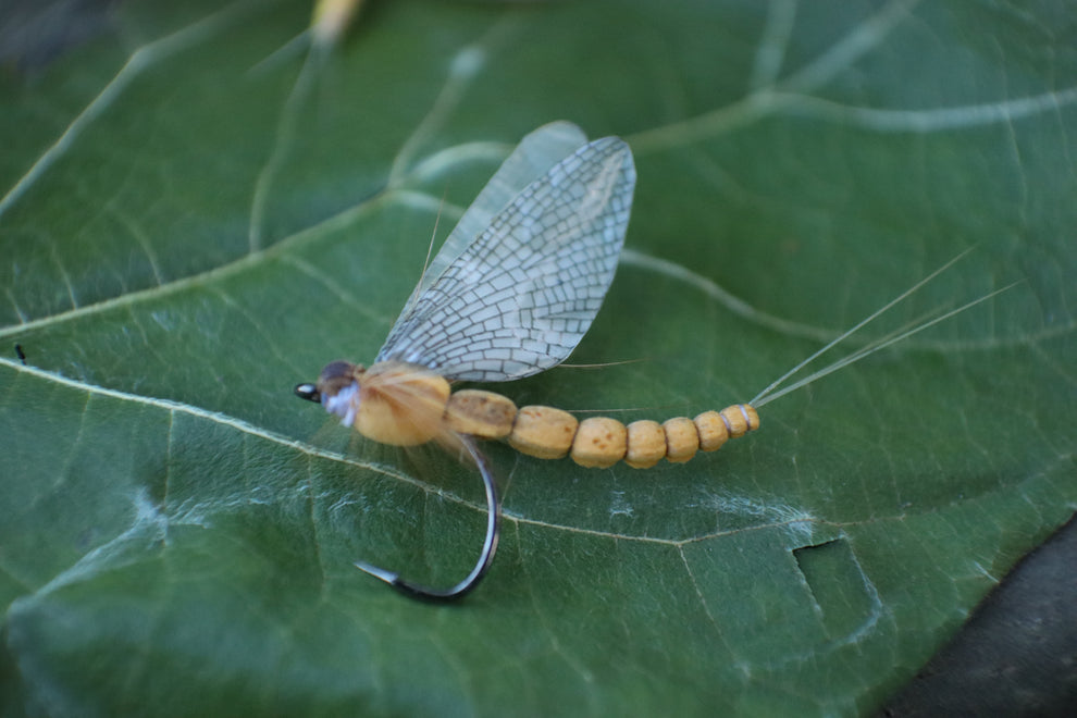 Realistic Mayfly Dun - Dry Fly for Selective Trout