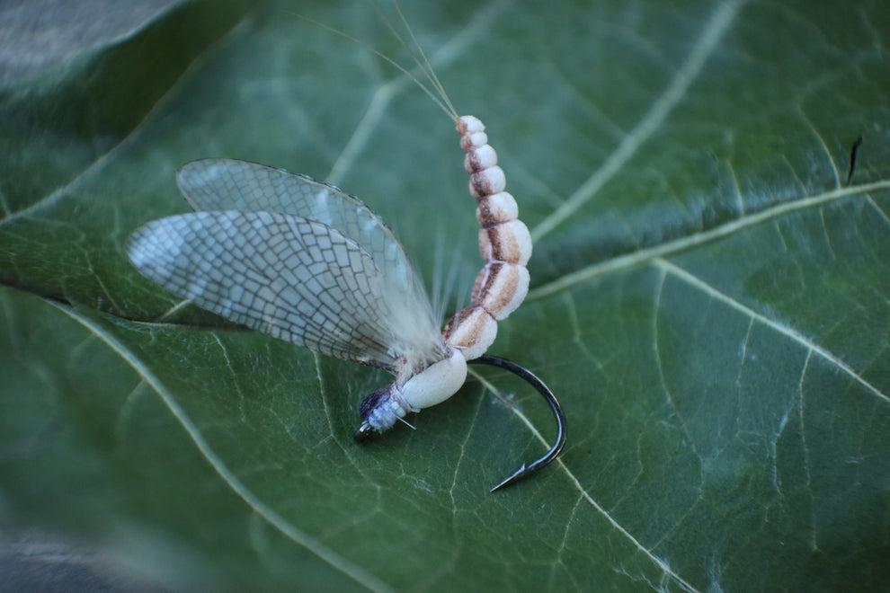 Realistic Mayfly Dun - Dry Fly for Selective Trout