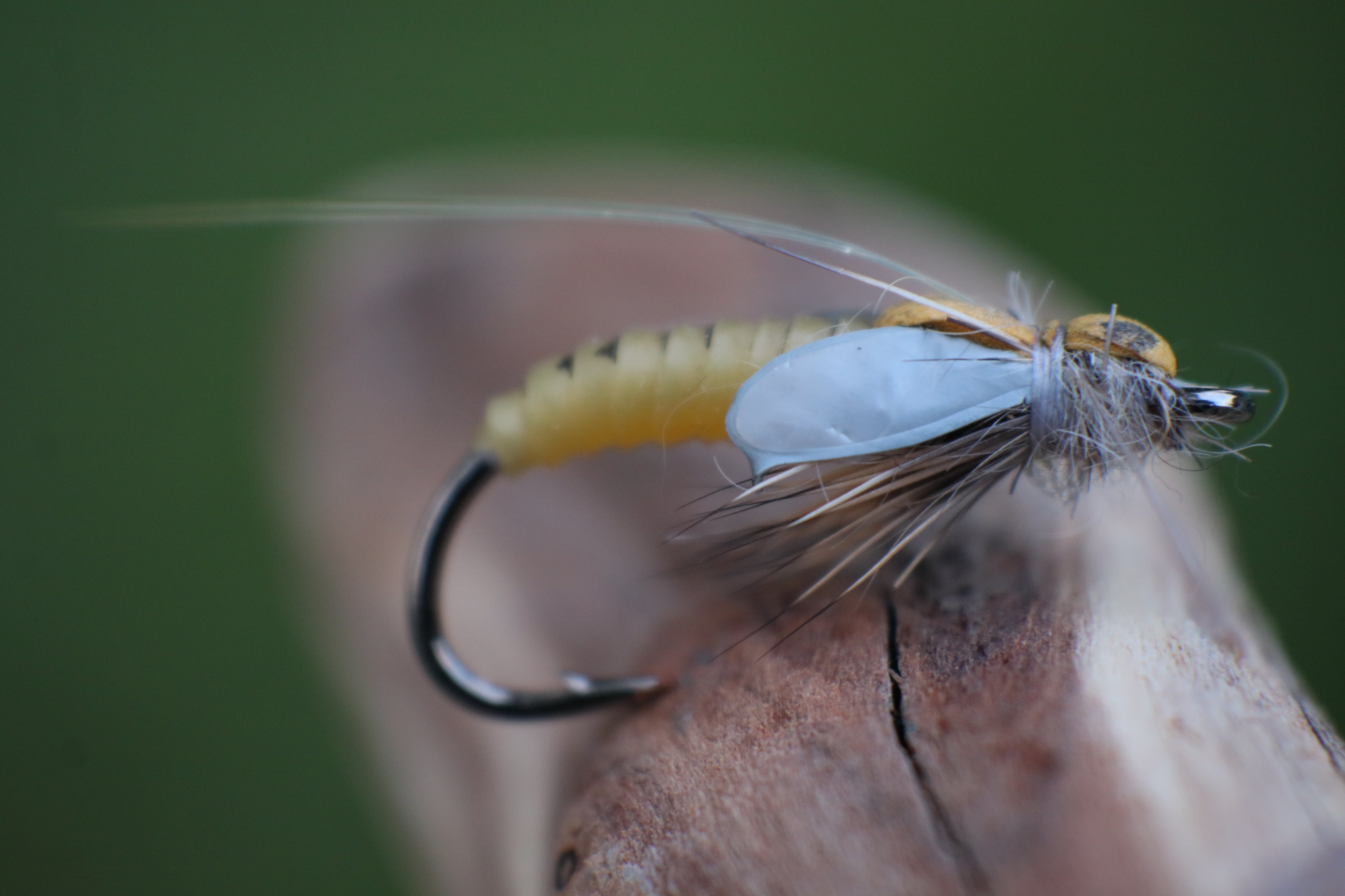 Caddis Pupa Yellow- Realistic Fly - Size 12
