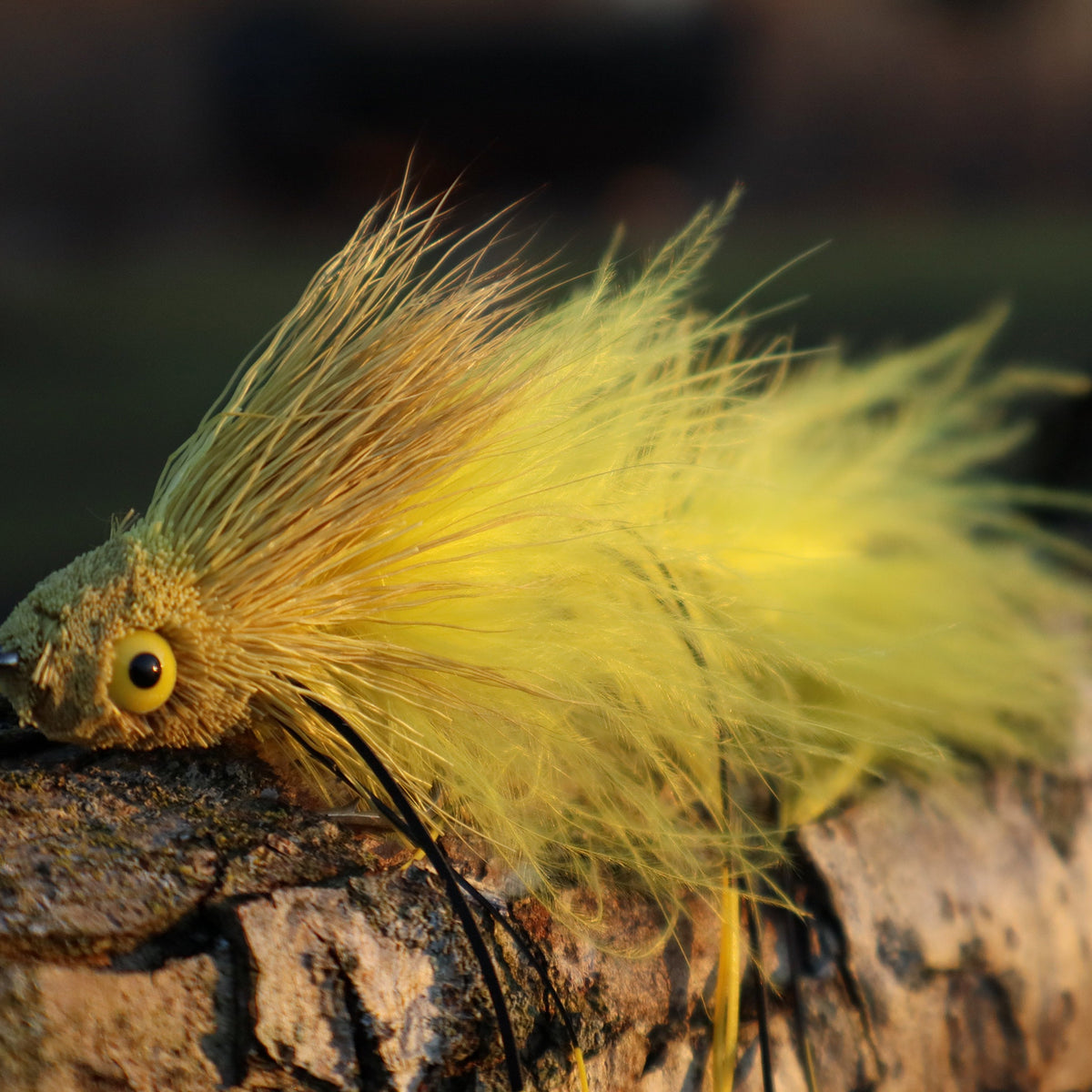 Sex Dungeon Streamer Fly – Fly Fishing Universe