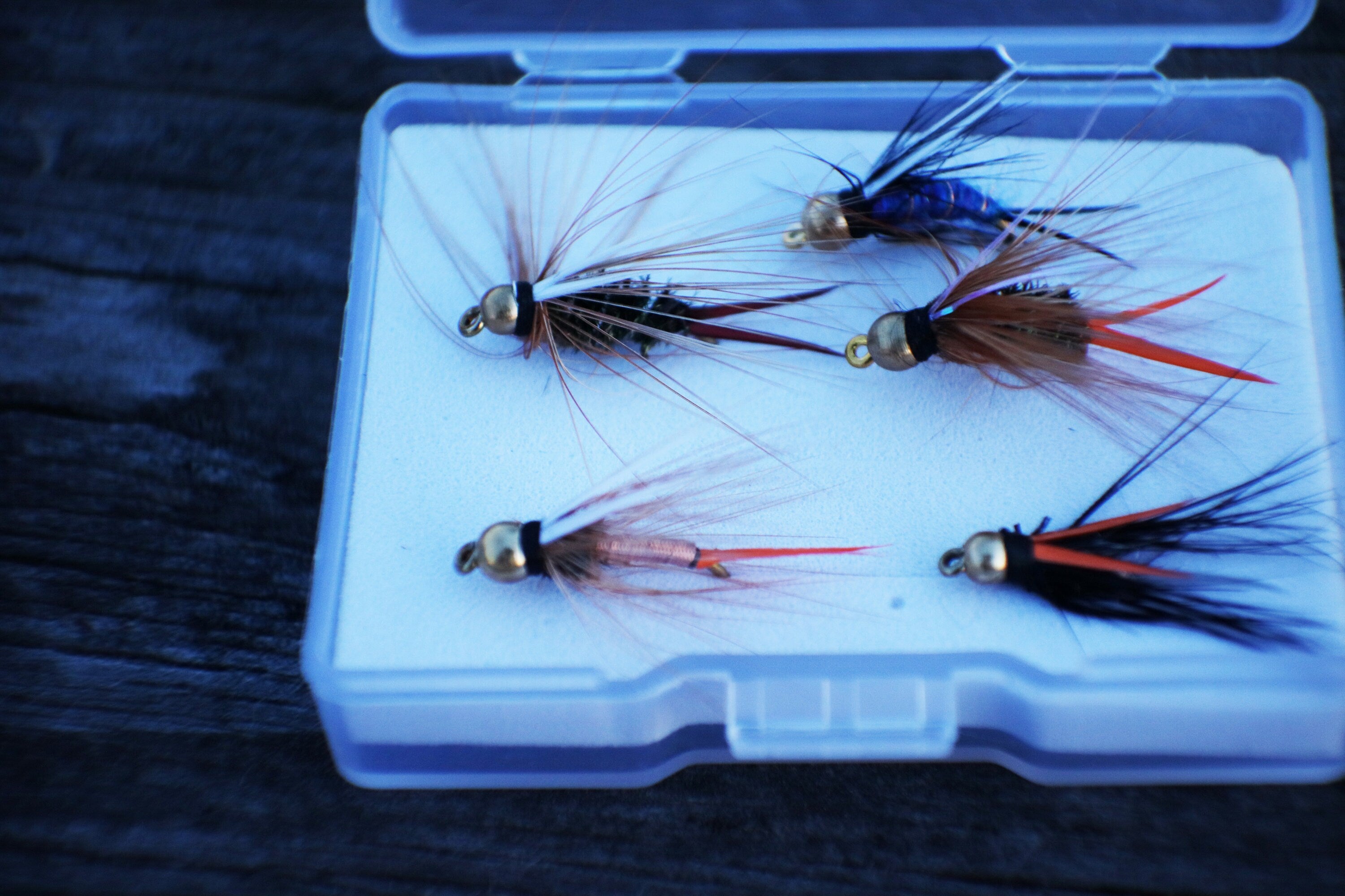 Fly Fishing Flies: Prince Nymph Box (5 nymph)