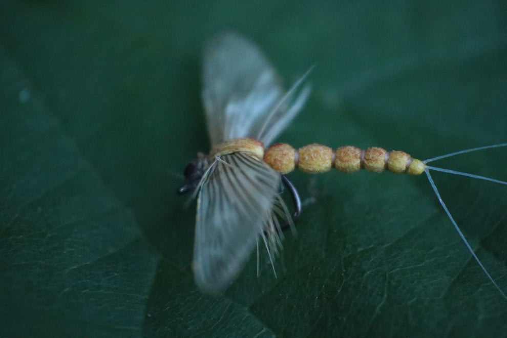 Mayfly Speut Yellow- Realistic Flies