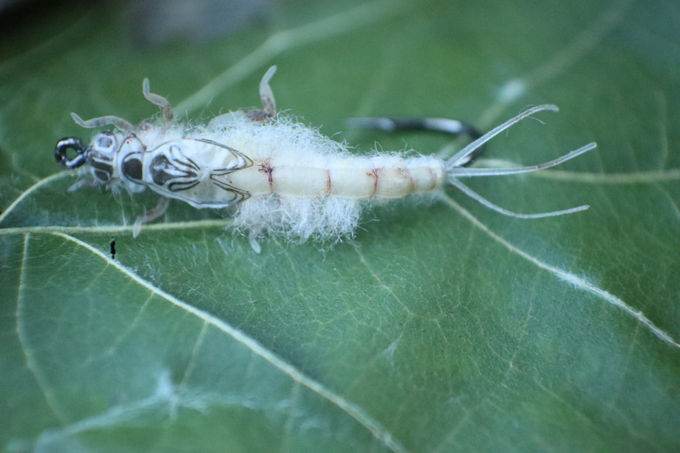 Realistic Mayfly Larva Nymph - Year-Round Trout Fly